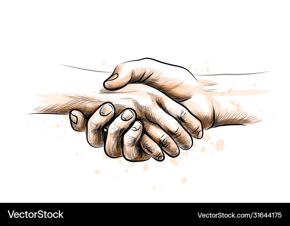 Human hands are joined a handshake in a gesture Vector Image