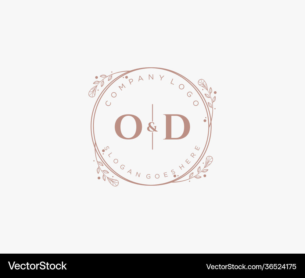 Initial od letters decorative luxury wedding logo Vector Image