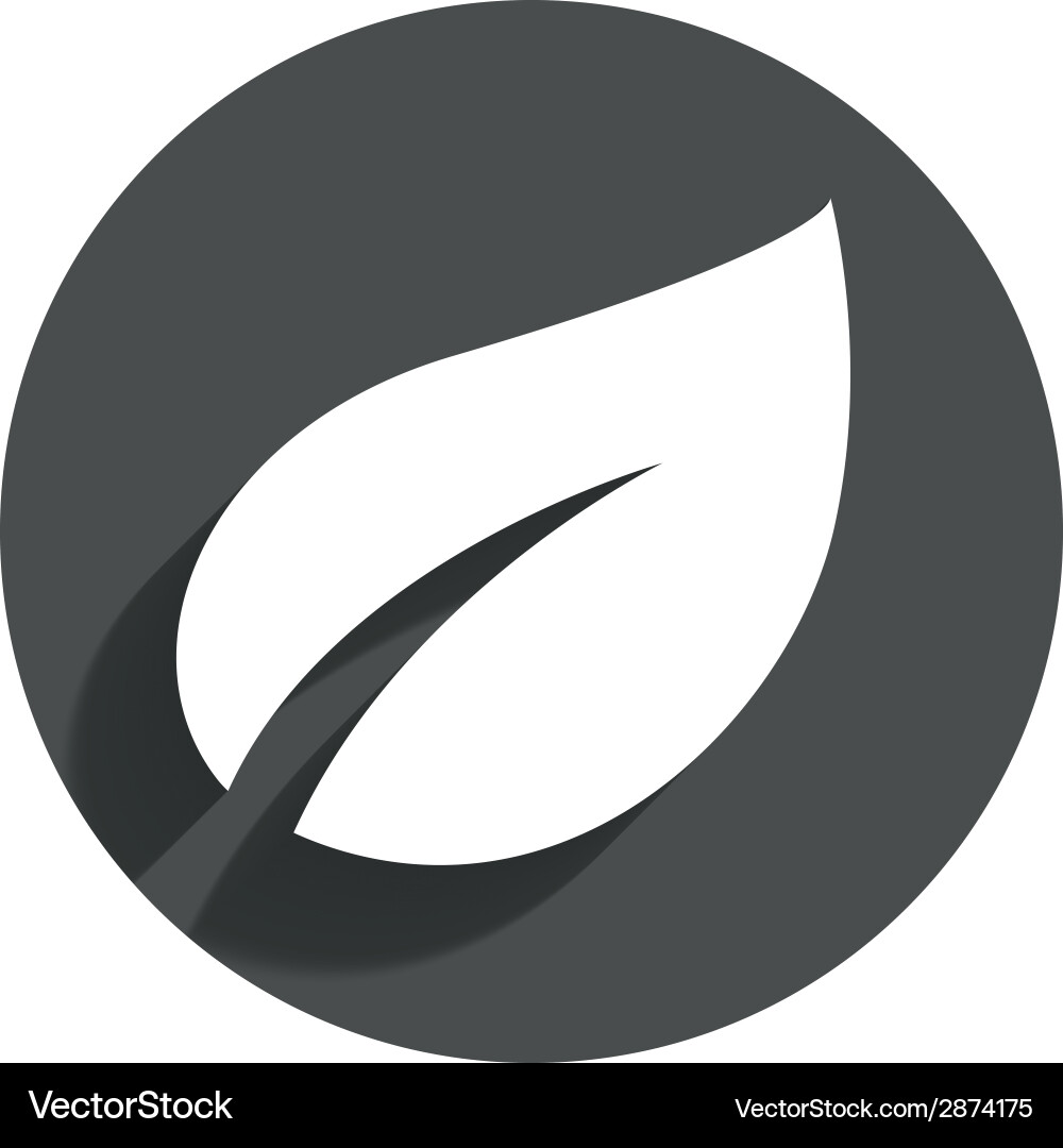 Leaf sign icon fresh product symbol Royalty Free Vector