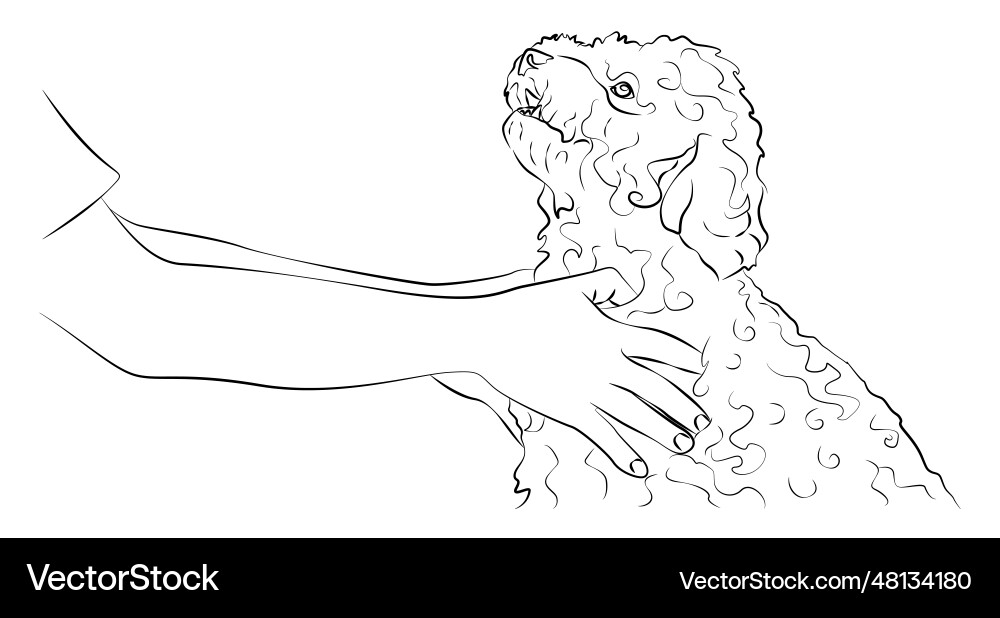 Puppy and owners hands line drawing Royalty Free Vector