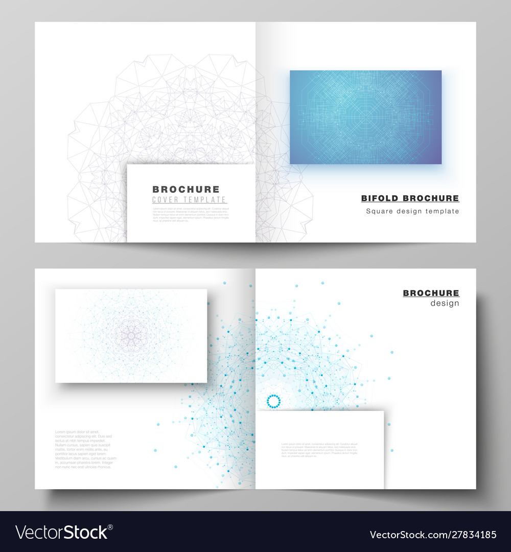 Layout two covers templates Royalty Free Vector Image
