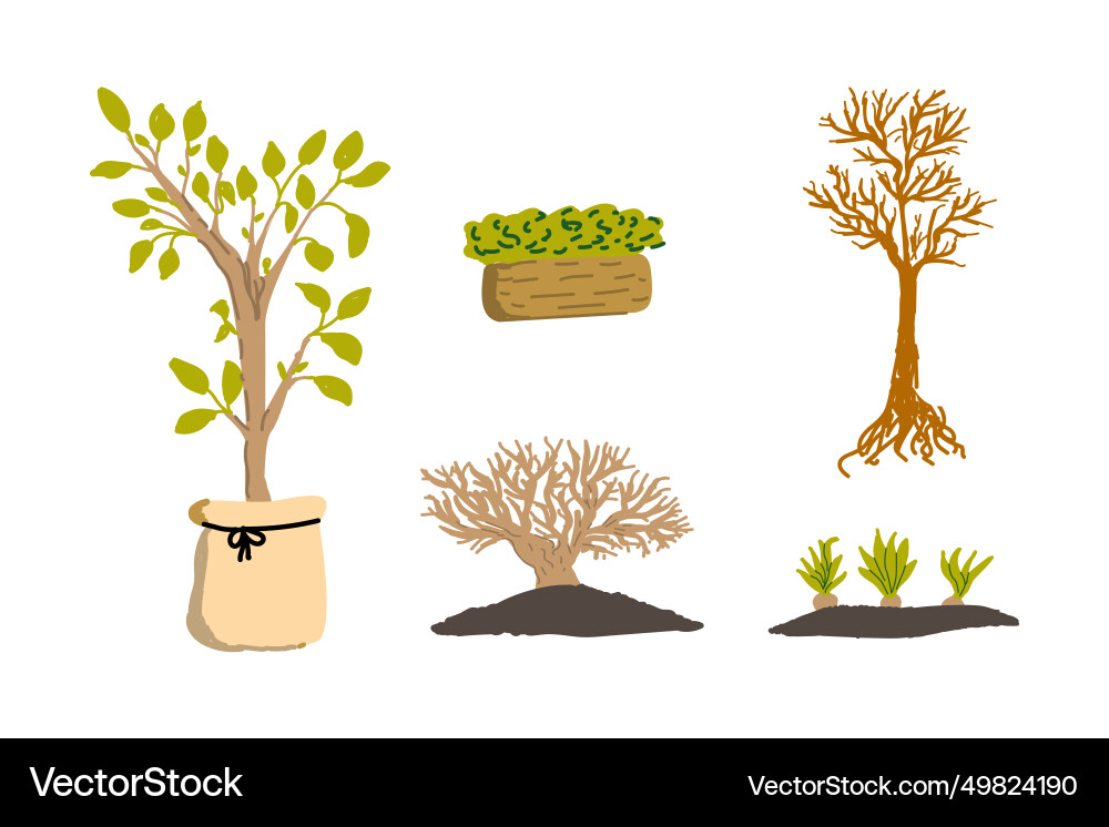 Set of plants for garden - spring Royalty Free Vector Image
