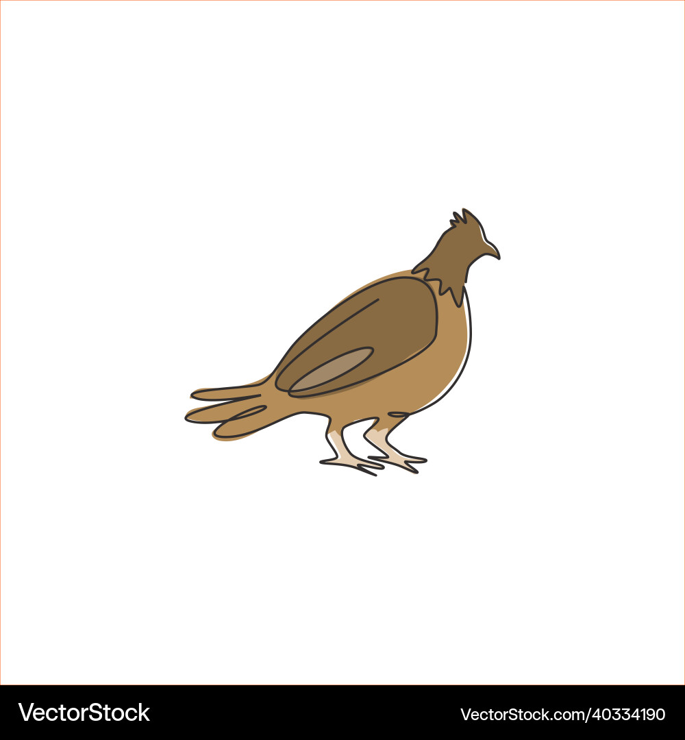 Single continuous line drawing of cute grouse Vector Image