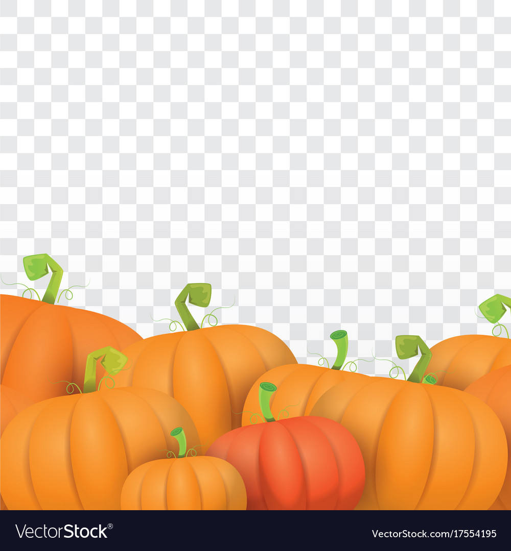 Autumn orange pumpkins border design Royalty Free Vector
