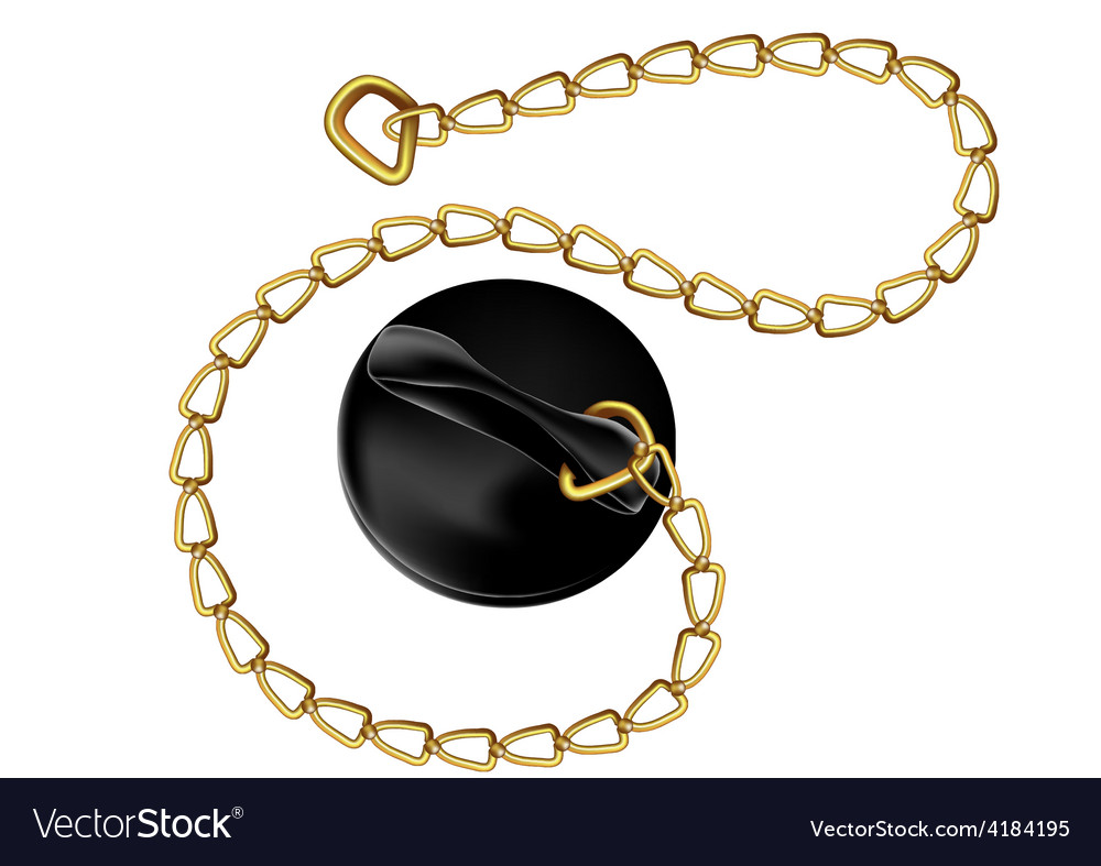 Bath plug Royalty Free Vector Image - VectorStock