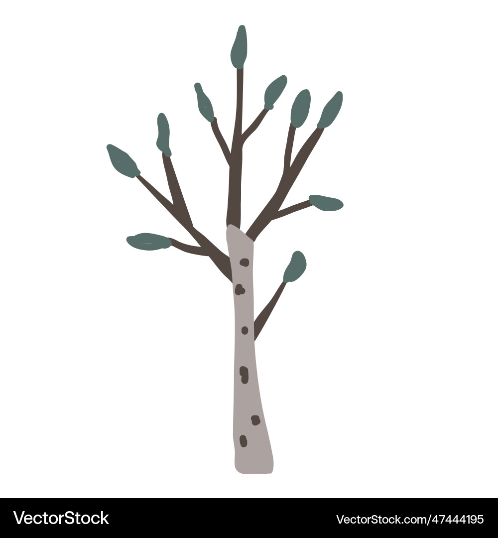 Hand drawn birch tree icon doodle Royalty Free Vector Image
