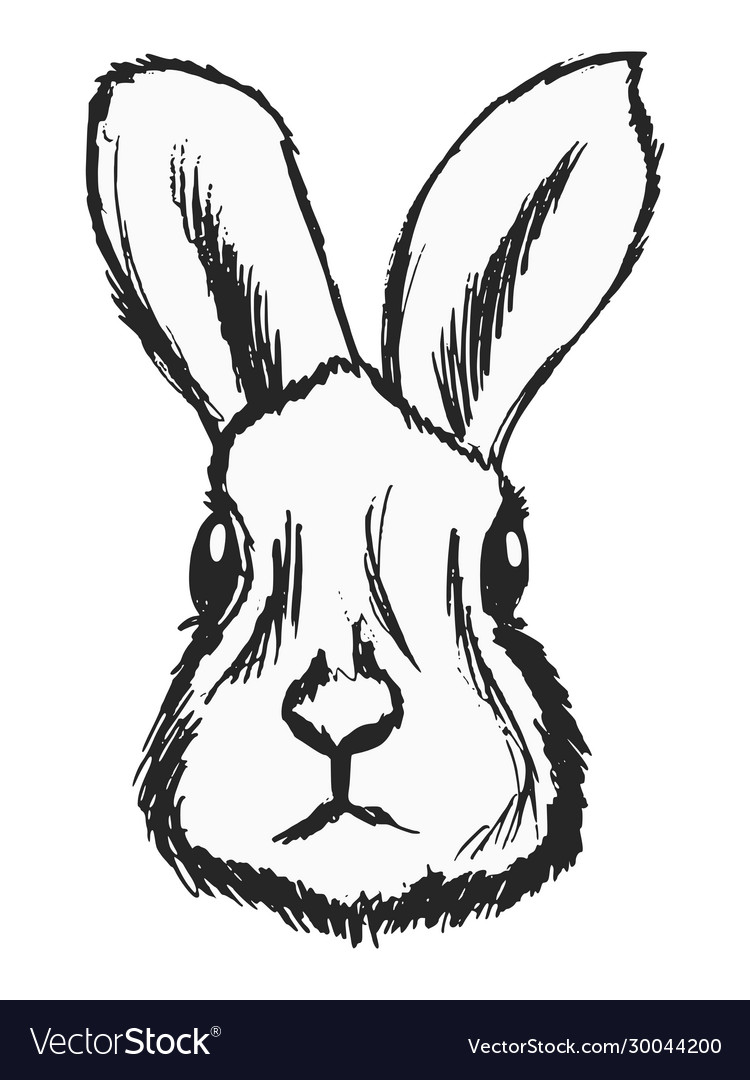 Hare Royalty Free Vector Image - VectorStock