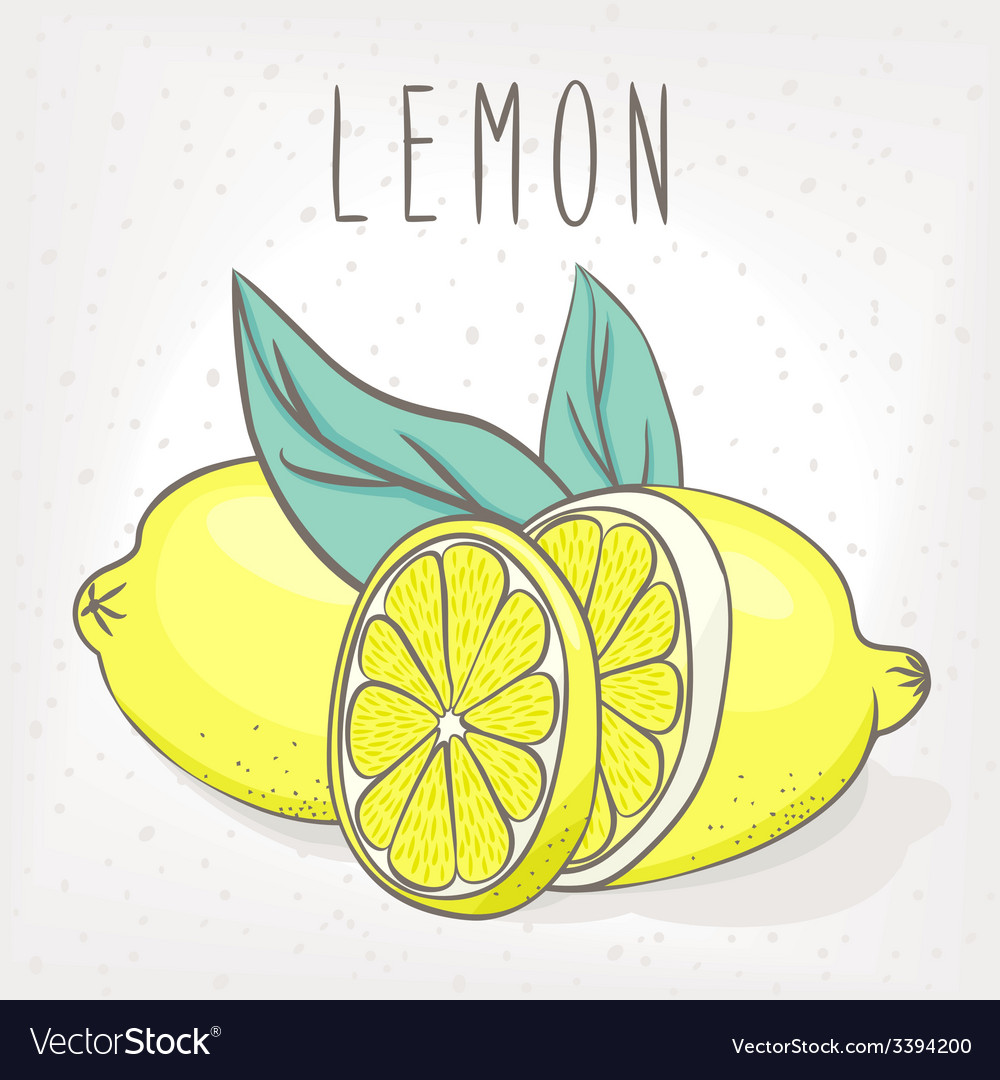 Lemon Royalty Free Vector Image - VectorStock