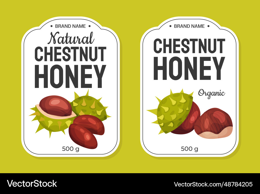 Chestnut honey label or sticker design with brown Vector Image