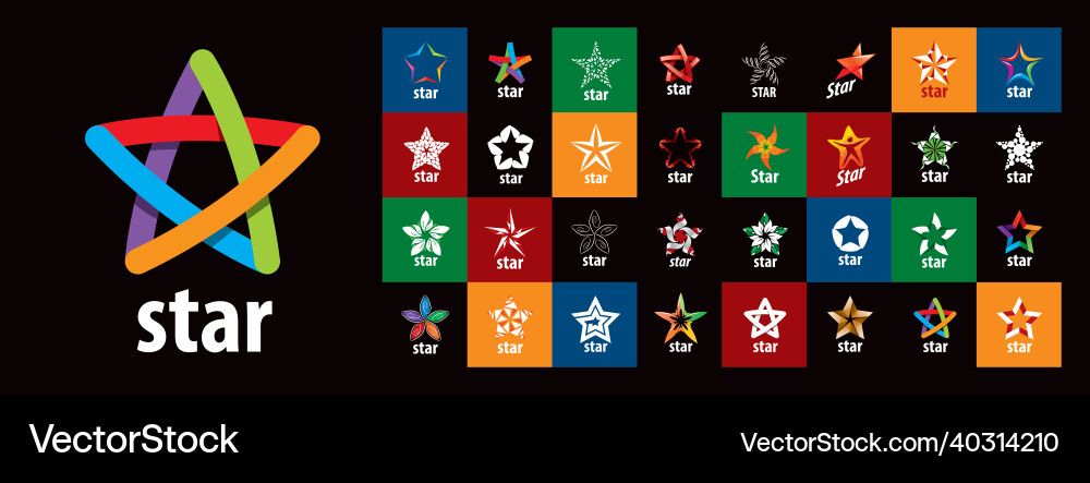 A set of logos with the image star Royalty Free Vector Image