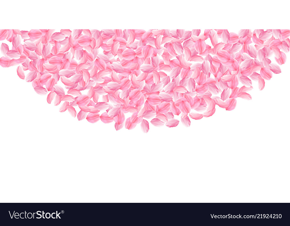 Sakura petals falling down Royalty Free Vector Image