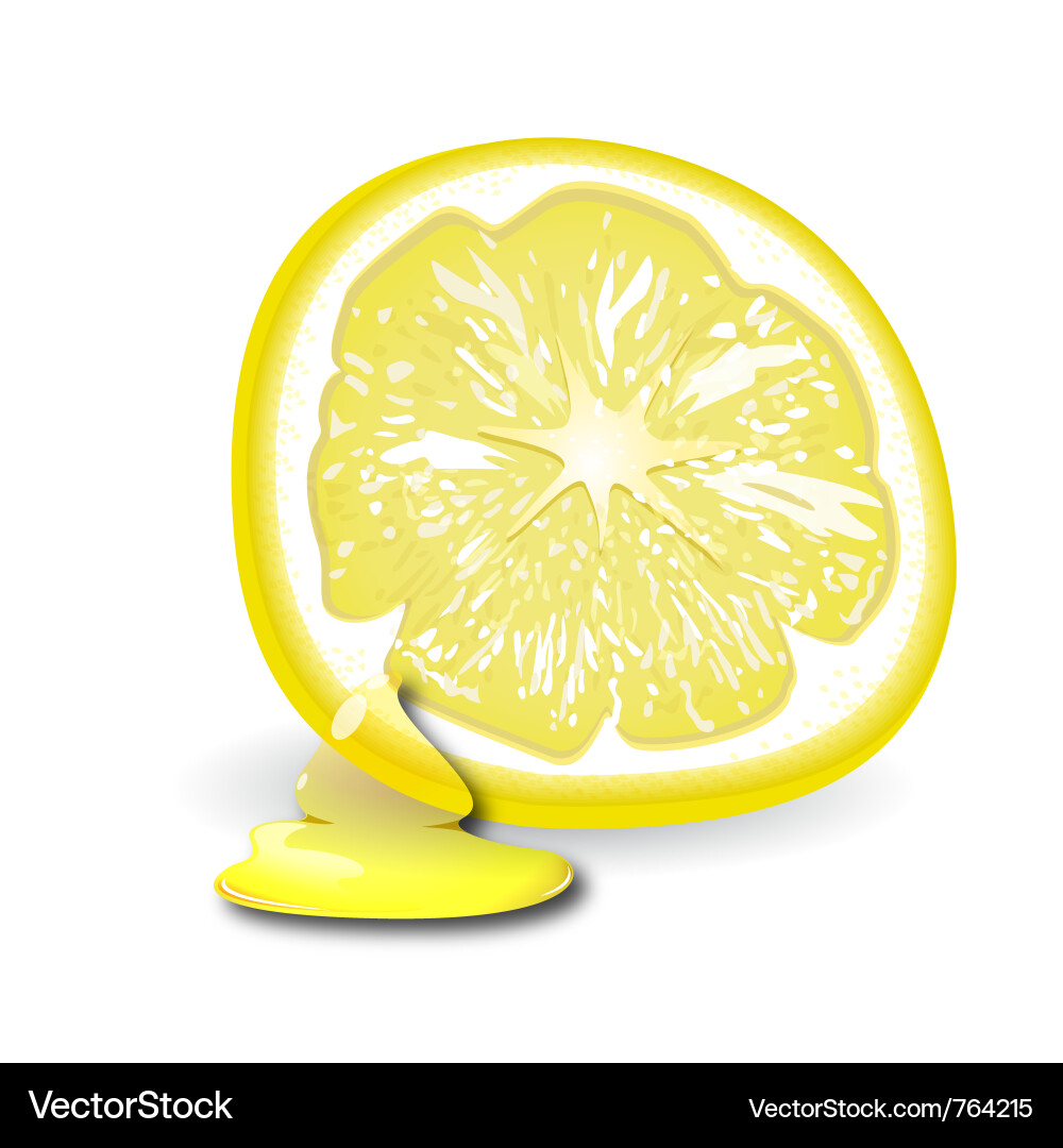Slice of the lemon Royalty Free Vector Image - VectorStock
