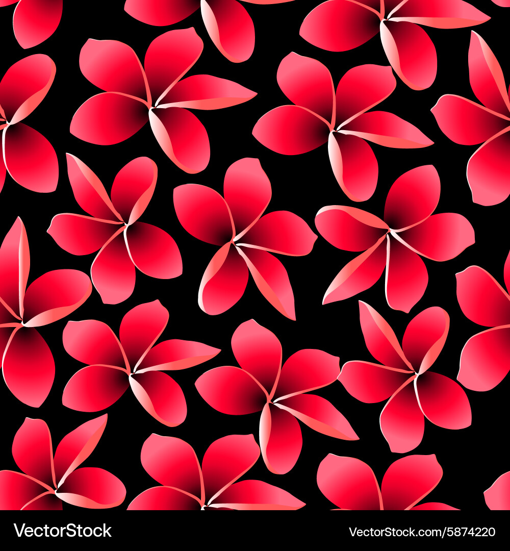 Red tropical frangipani with black background Vector Image