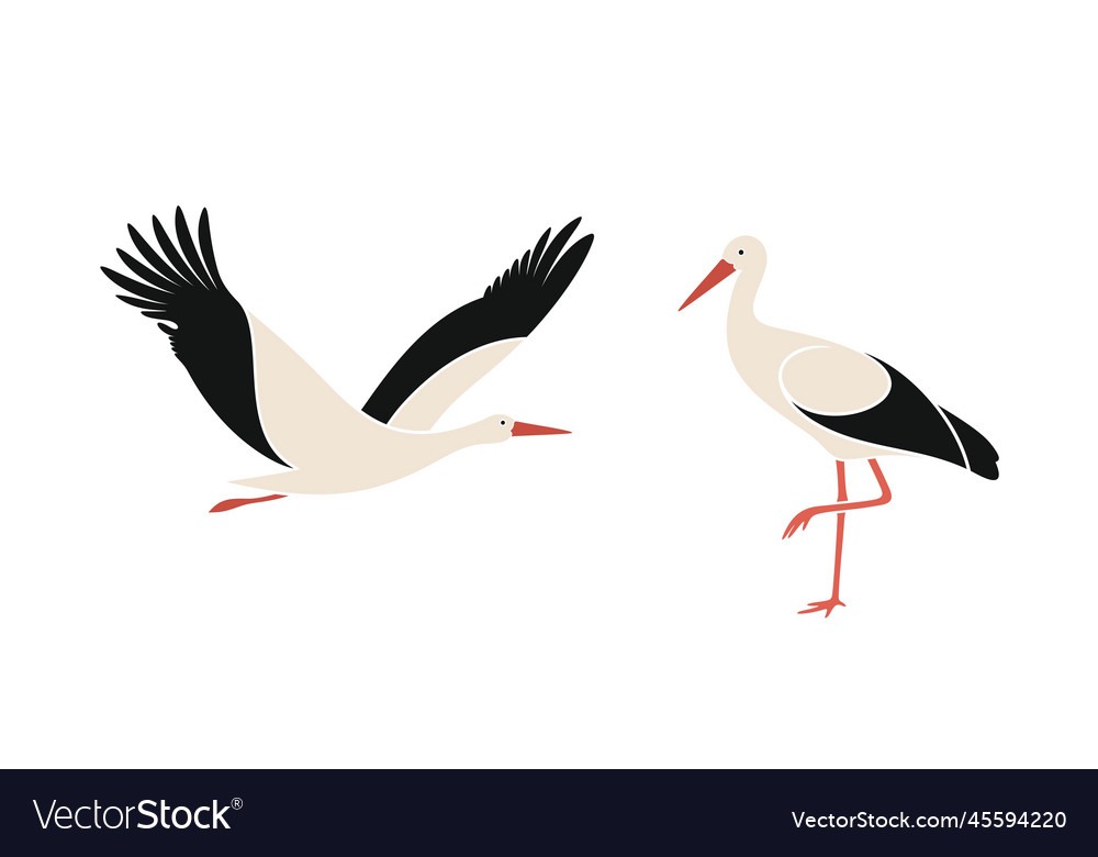 Stork Royalty Free Vector Image - VectorStock