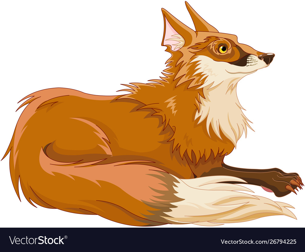 Fox Royalty Free Vector Image - VectorStock