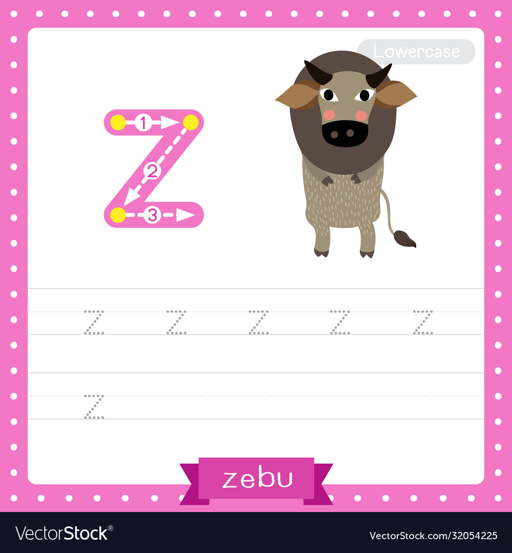 Letter z lowercase tracing practice worksheet Vector Image Letter z lowercase tracing practice worksheet Vector Image