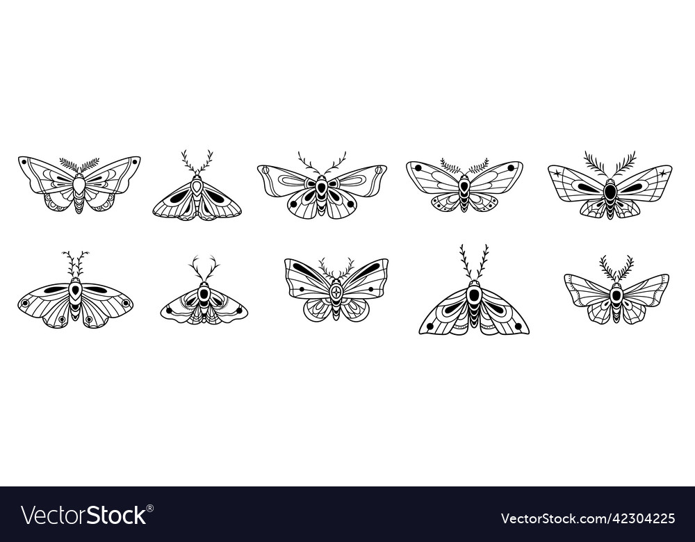 Moth Royalty Free Vector Image - VectorStock