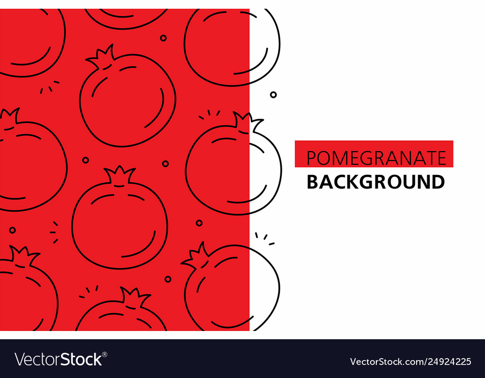 Pomegranate background Royalty Free Vector Image