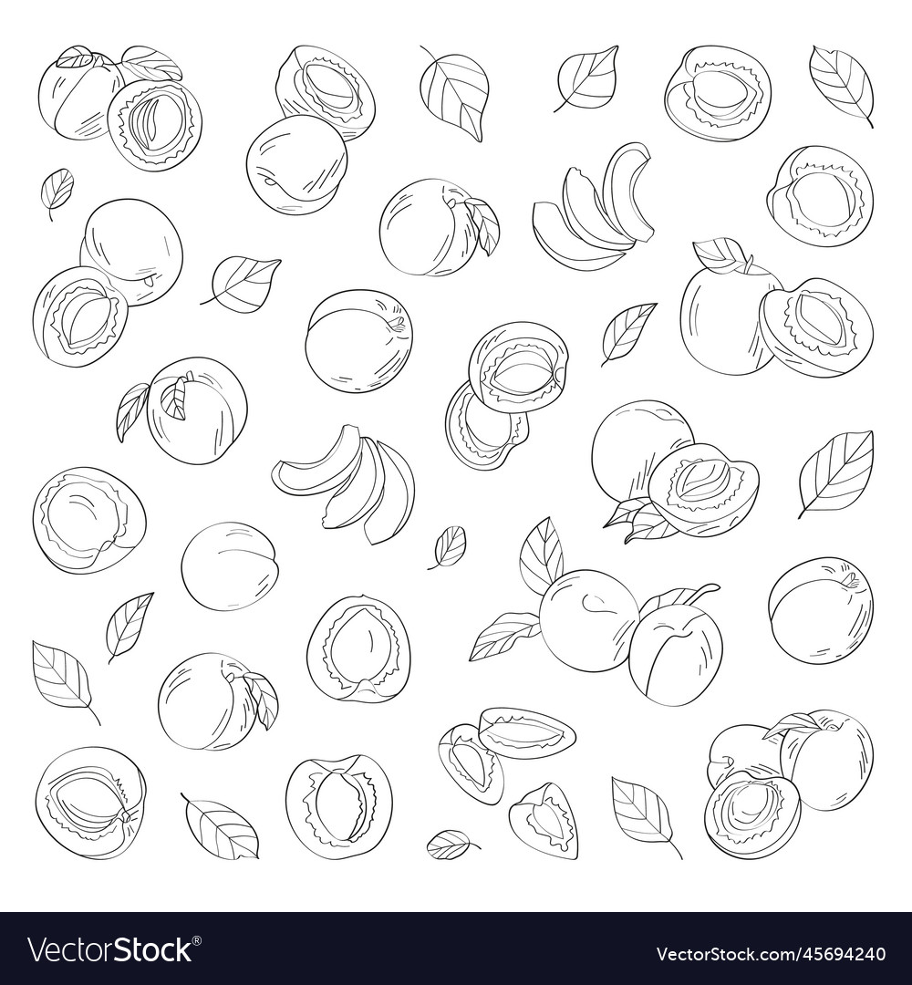 Apricot pattern Royalty Free Vector Image - VectorStock