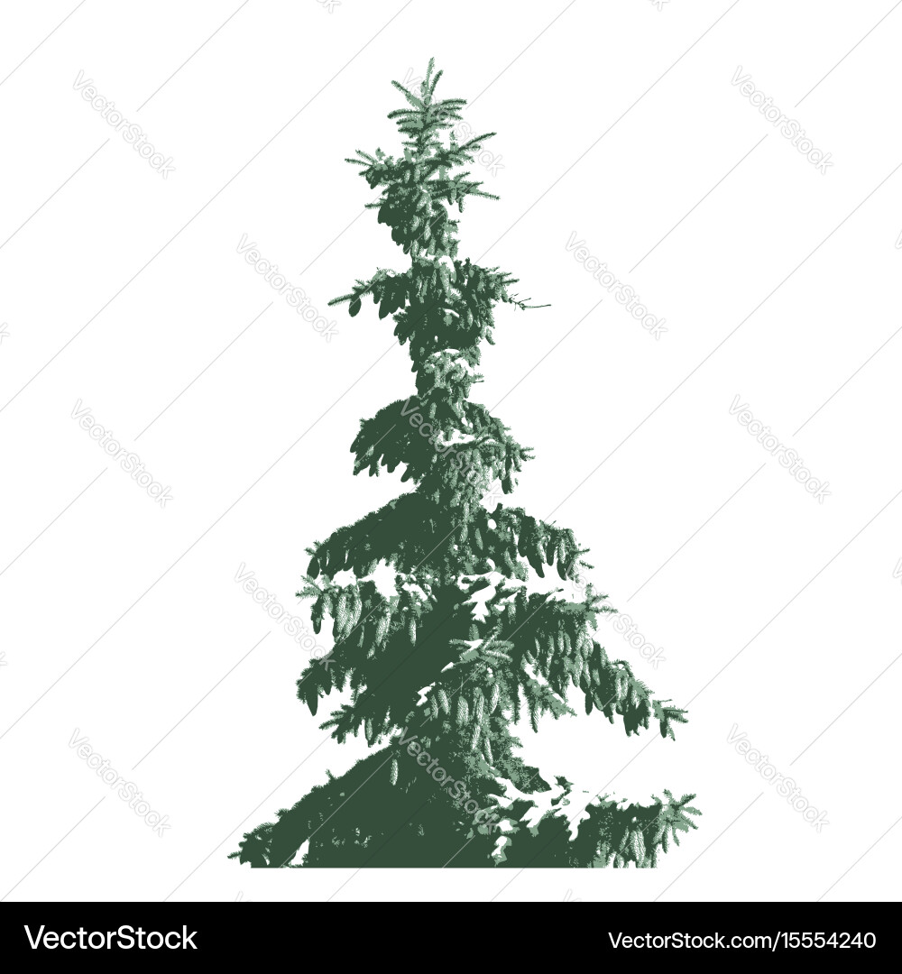 Green fur-tree silhouette isolated on white Vector Image