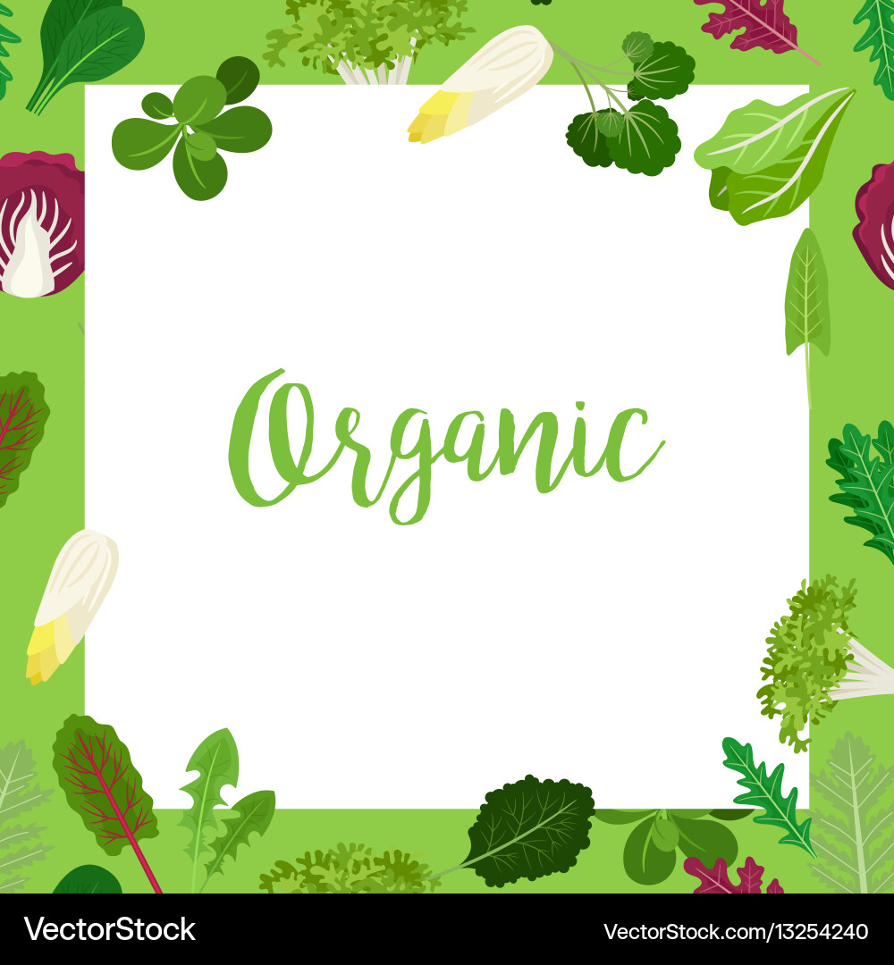 Organic banner with leaves square frame Royalty Free Vector