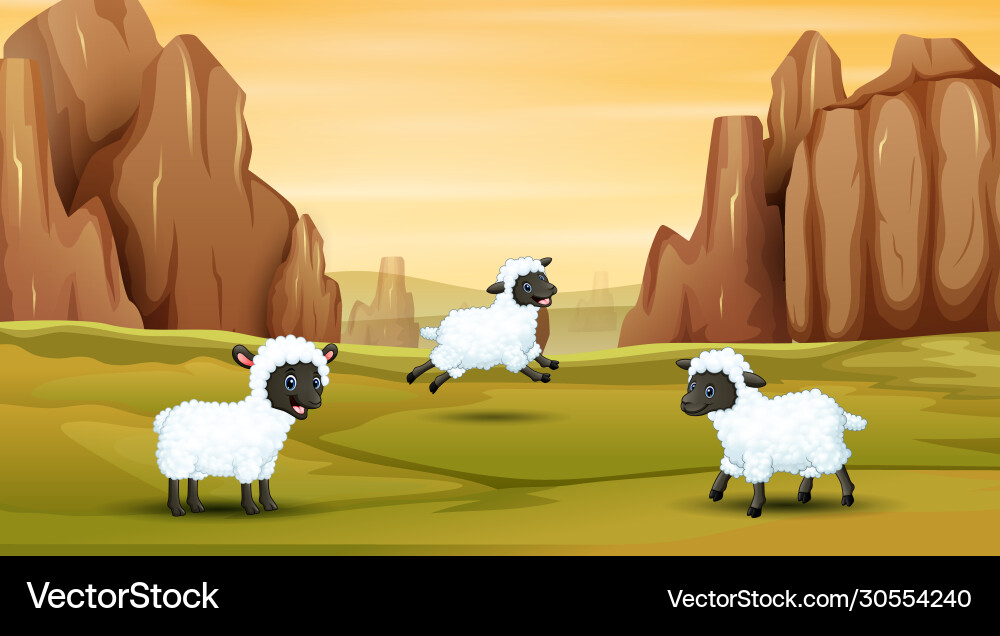 Three Sheep