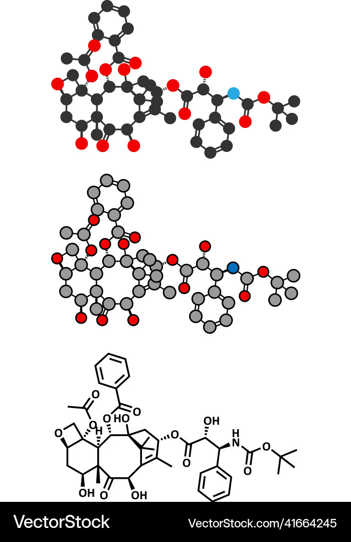 Docetaxel cancer chemotherapy drug molecule Vector Image