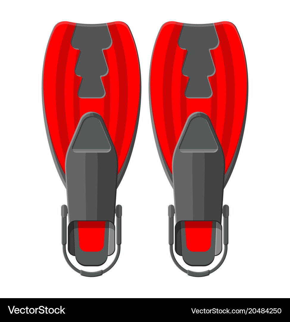 Swimming flippers diving equipment Royalty Free Vector Image