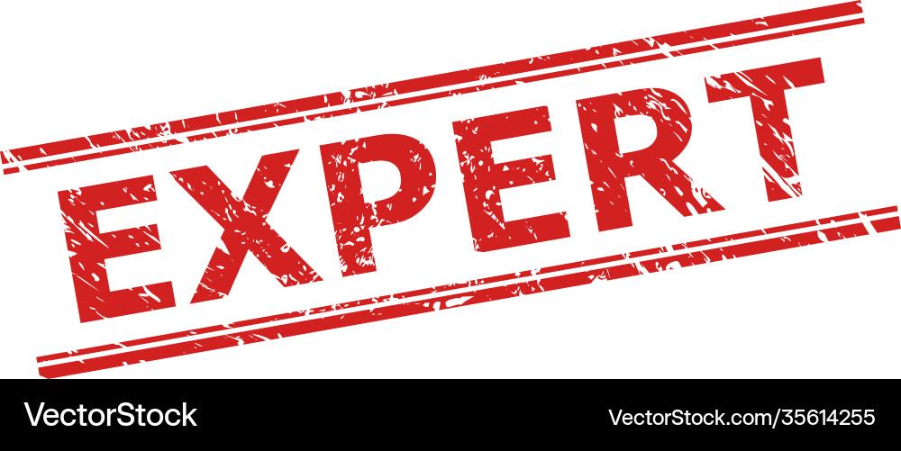 Expert watermark with grunged surface and double Vector Image