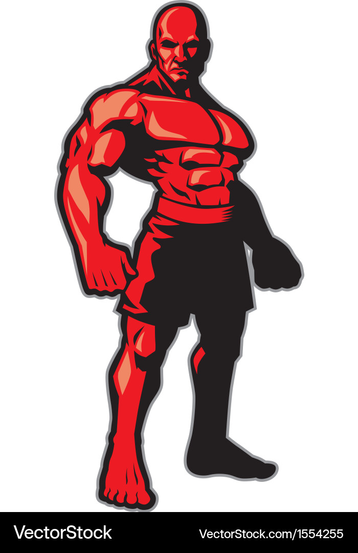 Fighter standing pose Royalty Free Vector Image