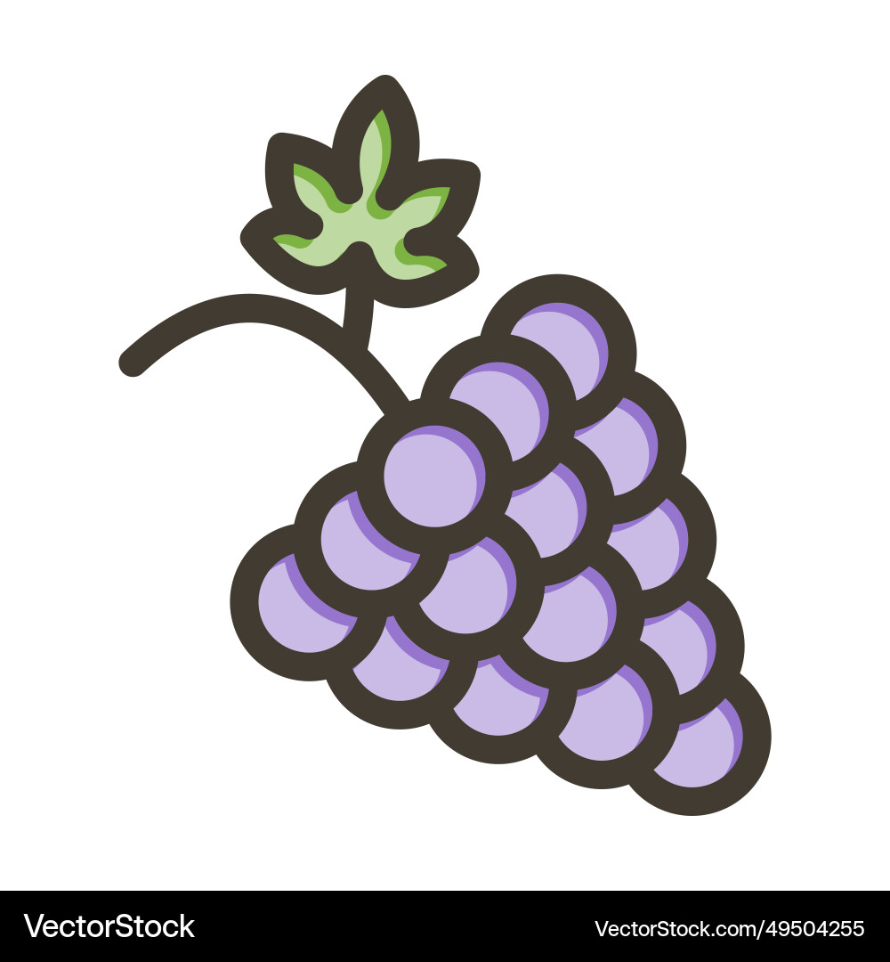 Grapes thick line filled colors icon for personal Vector Image