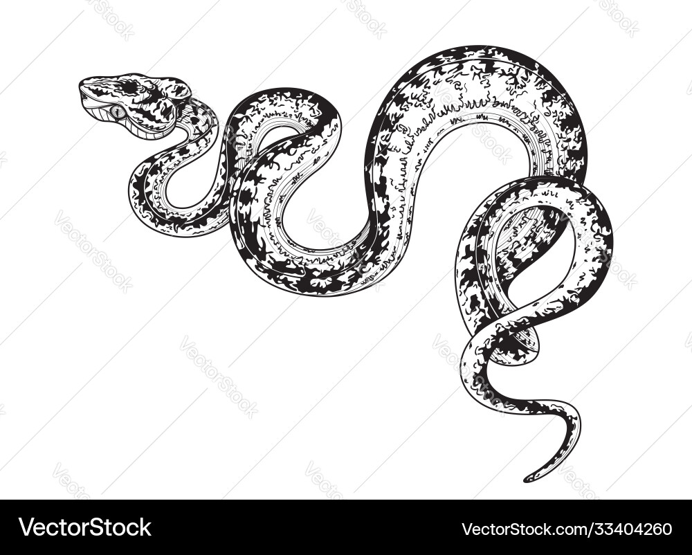 Hand drawn monochrome spotted snake Royalty Free Vector