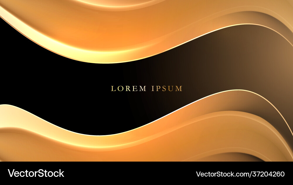 Luxury background with golden lines and shadow Vector Image