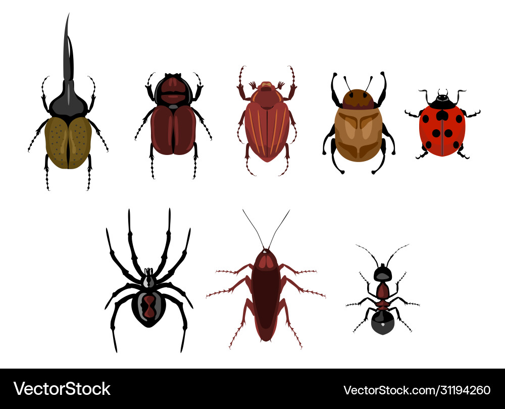 Set cute cartoon insects crawling Royalty Free Vector Image