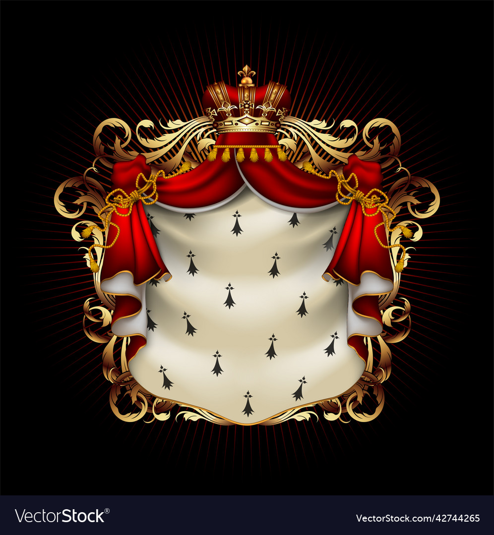 Heraldic Shield With A Crown And Royal Mantle Vector Image