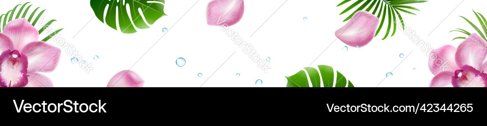 Horizontal banner with a purple orchid Royalty Free Vector