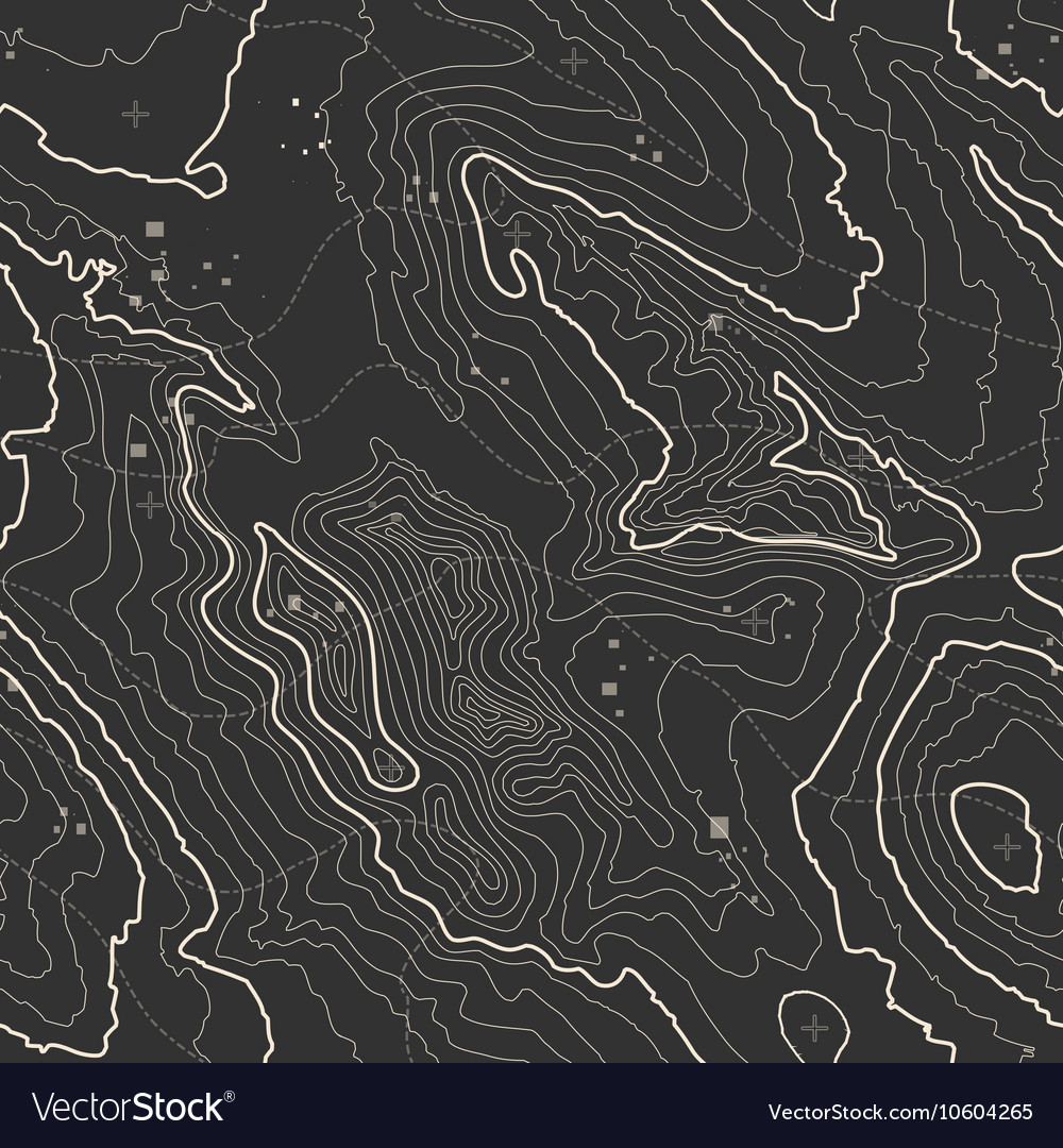 Topographic map background concept with space Vector Image Topographic map background concept with space Vector Image