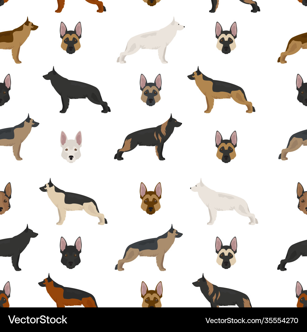 German shepherd dogs in different colors shepherd Vector Image