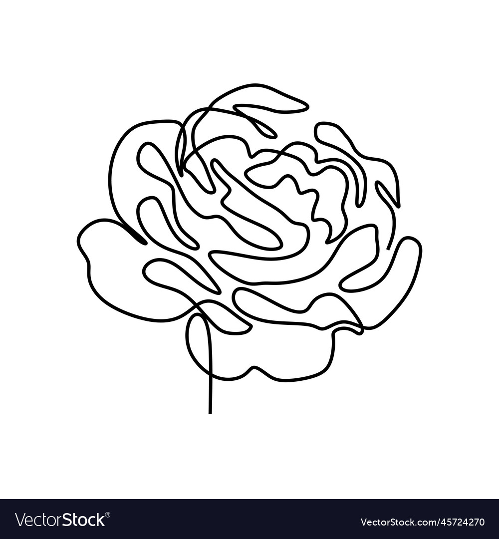 Rose one line drawing minimalism good for poster Vector Image