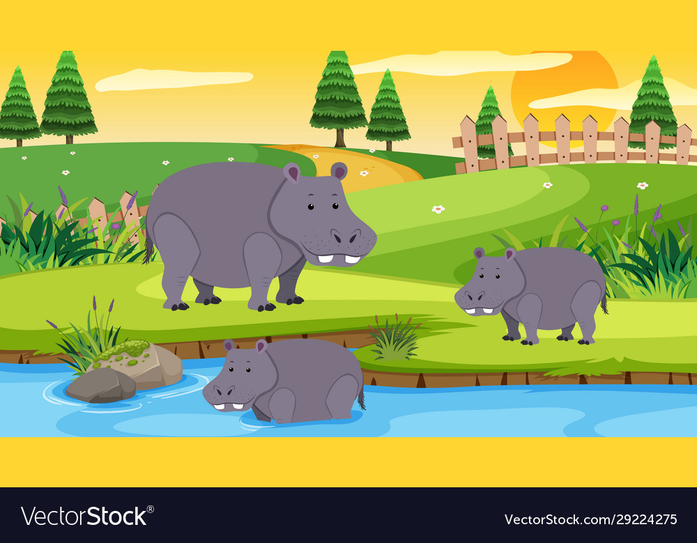 Scene with hippo in open zoo Royalty Free Vector Image