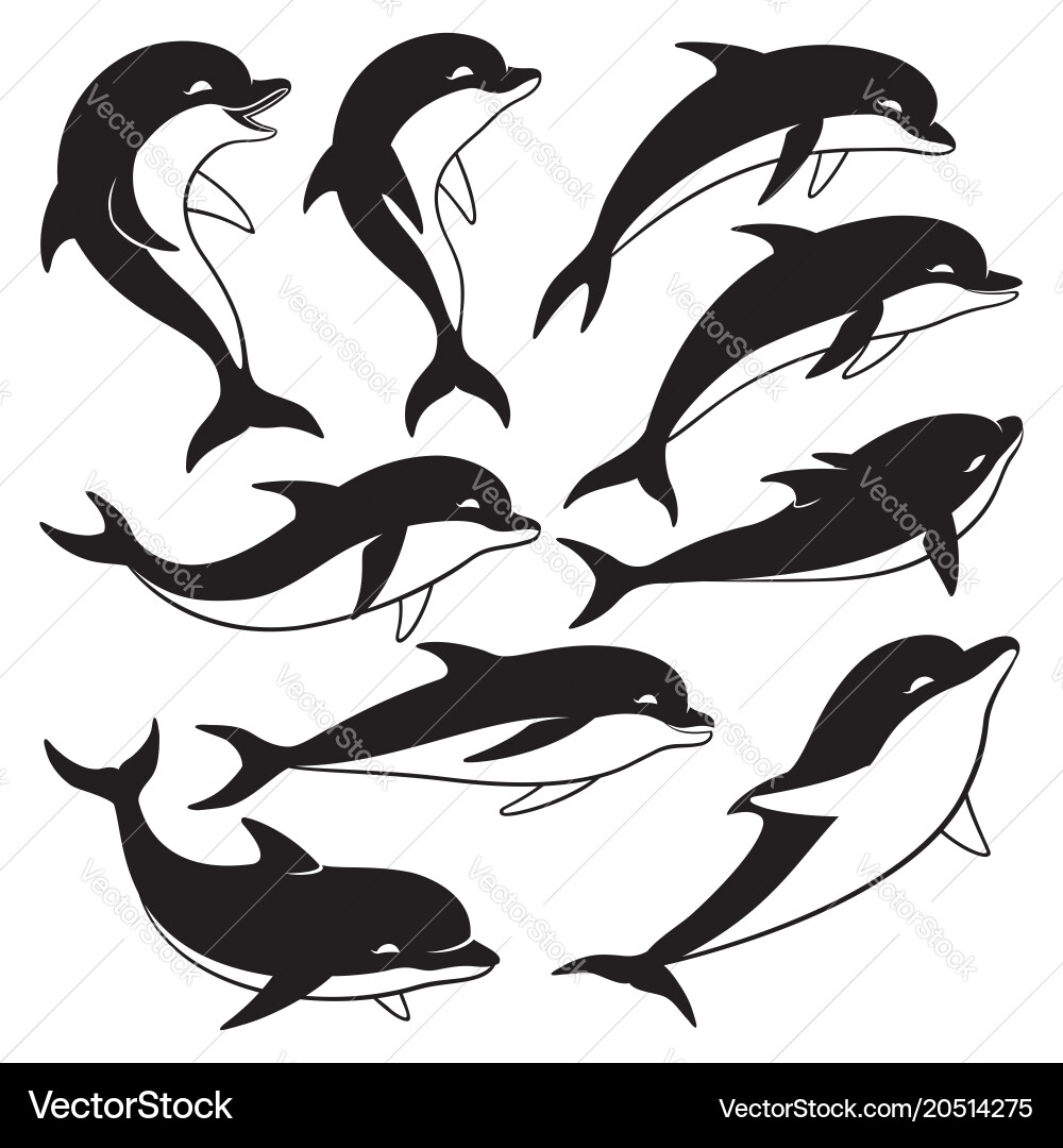 Set of black dolphins Royalty Free Vector Image
