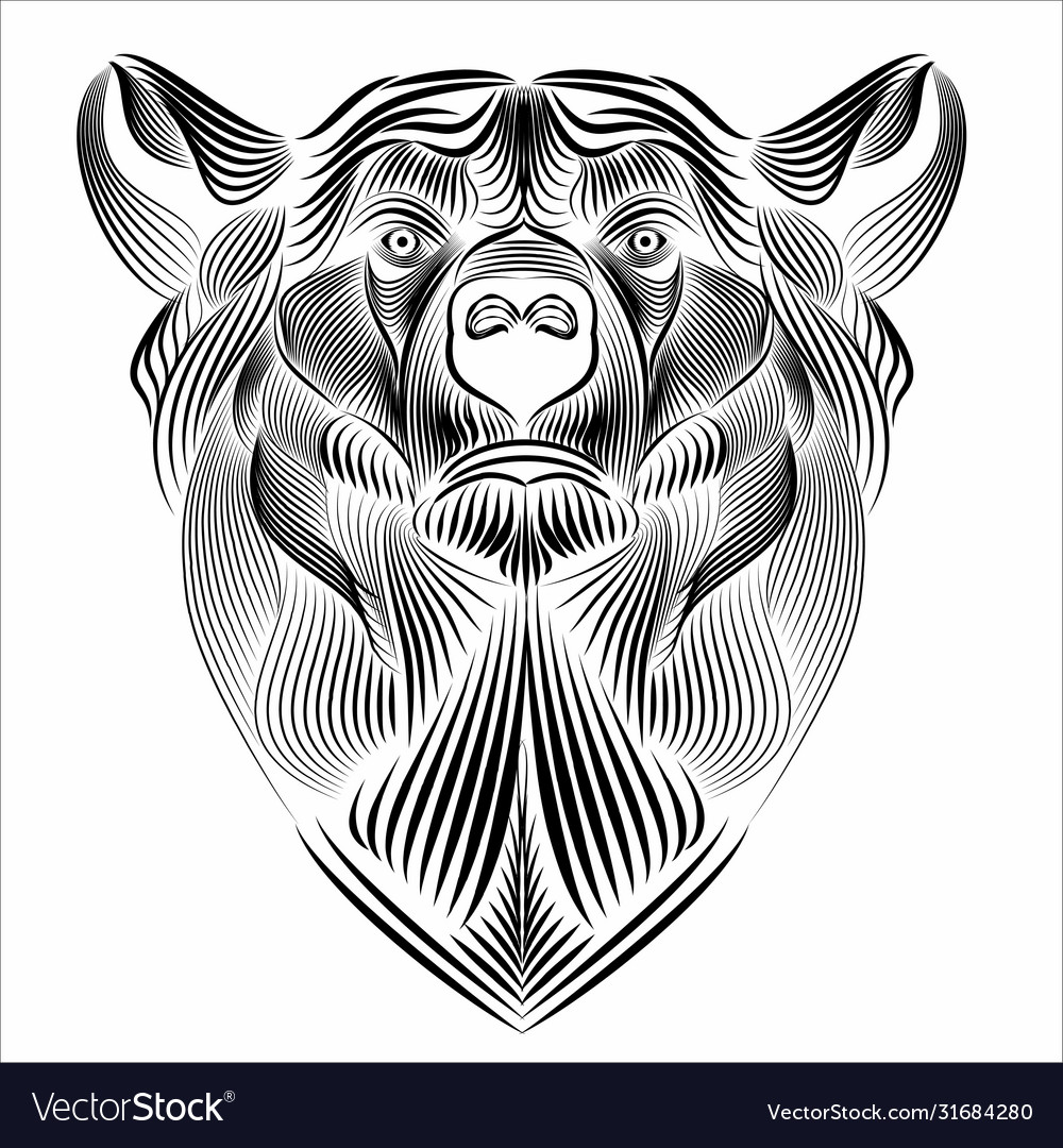 Bear Royalty Free Vector Image - VectorStock