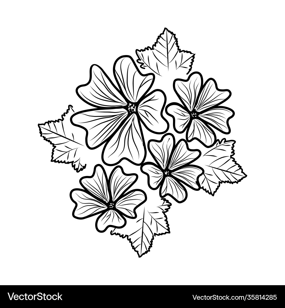 Mallow floral hand drawn design sign Royalty Free Vector