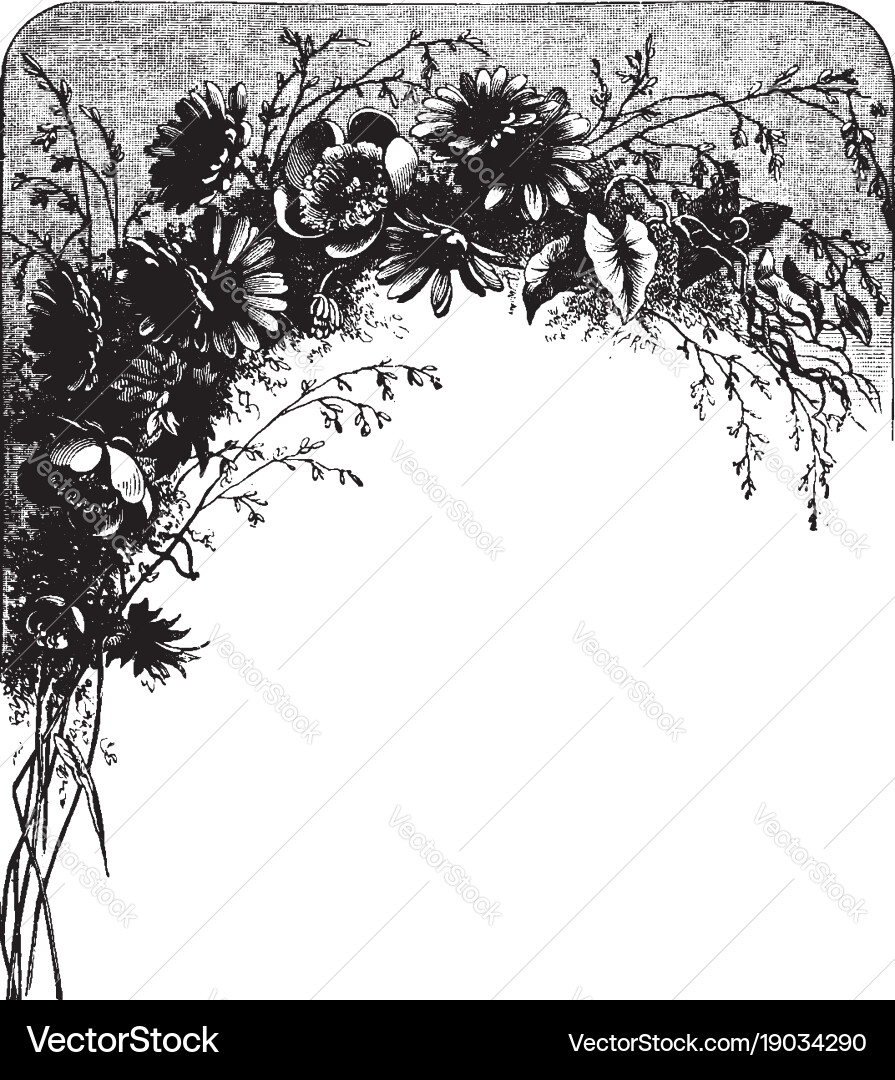 Flowers with leaves pattern vintage engraving Vector Image