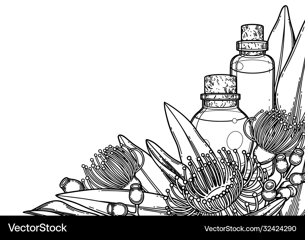 Graphic essential oil bottles decorated Royalty Free Vector