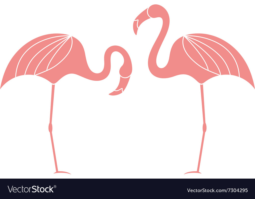 Flamingo Royalty Free Vector Image - VectorStock