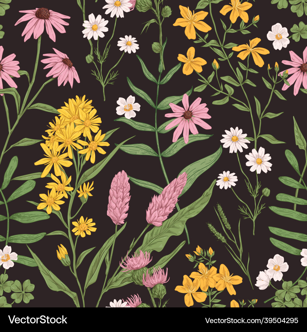 Seamless pattern with wild herbs vintage herbal Vector Image