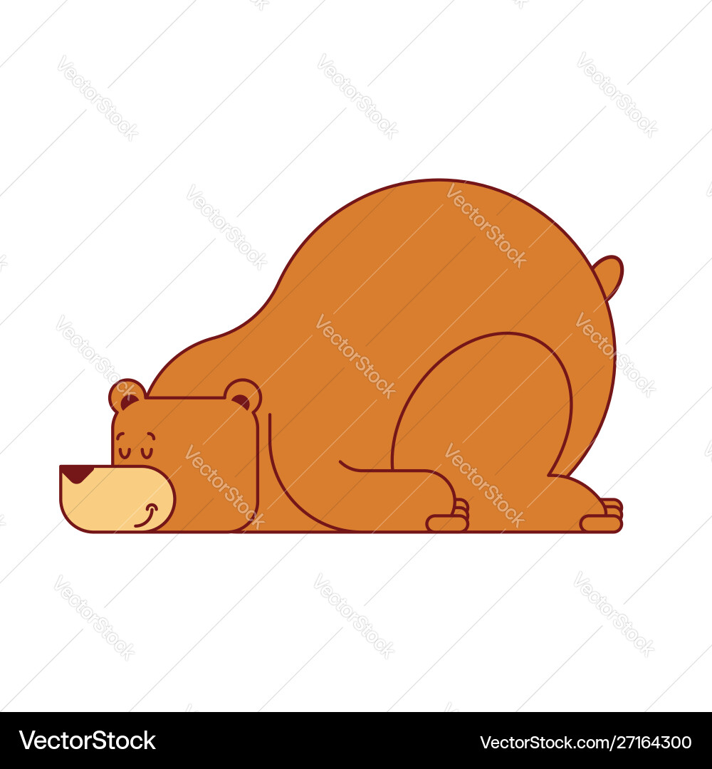 Bear sleep isolated wild beast sleep Royalty Free Vector