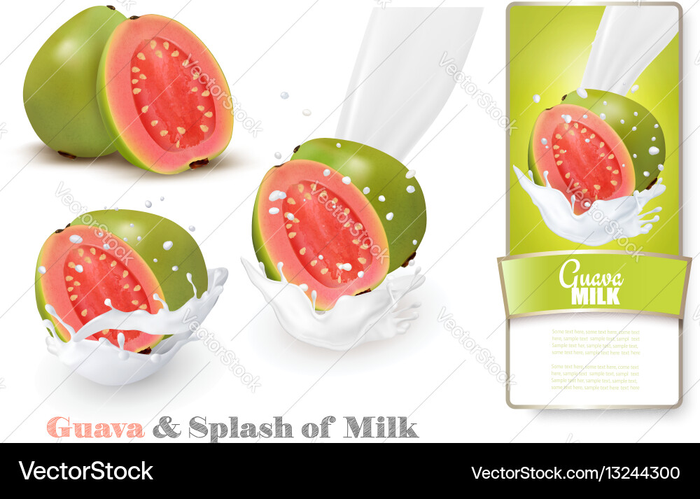 Fresh guava in milk splashes Royalty Free Vector Image