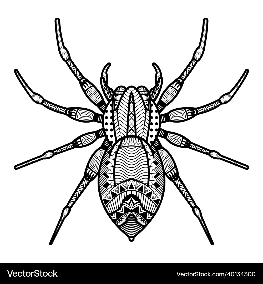 Spider of hand drawn Royalty Free Vector Image